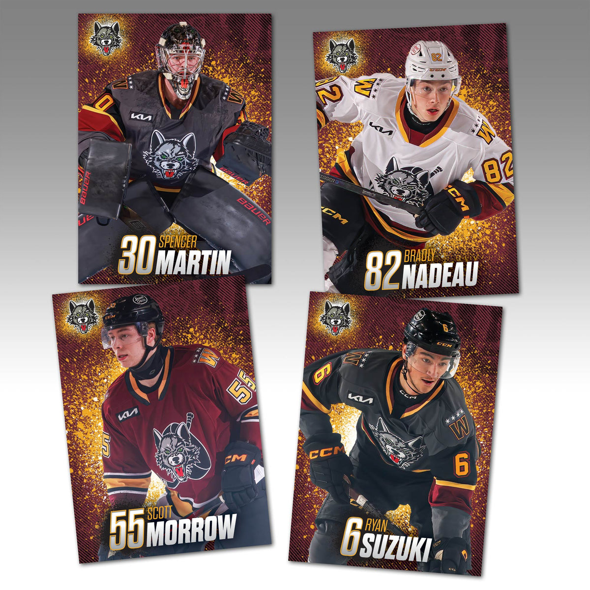 2024-25 Trading Card Set – Chicago Wolves Store